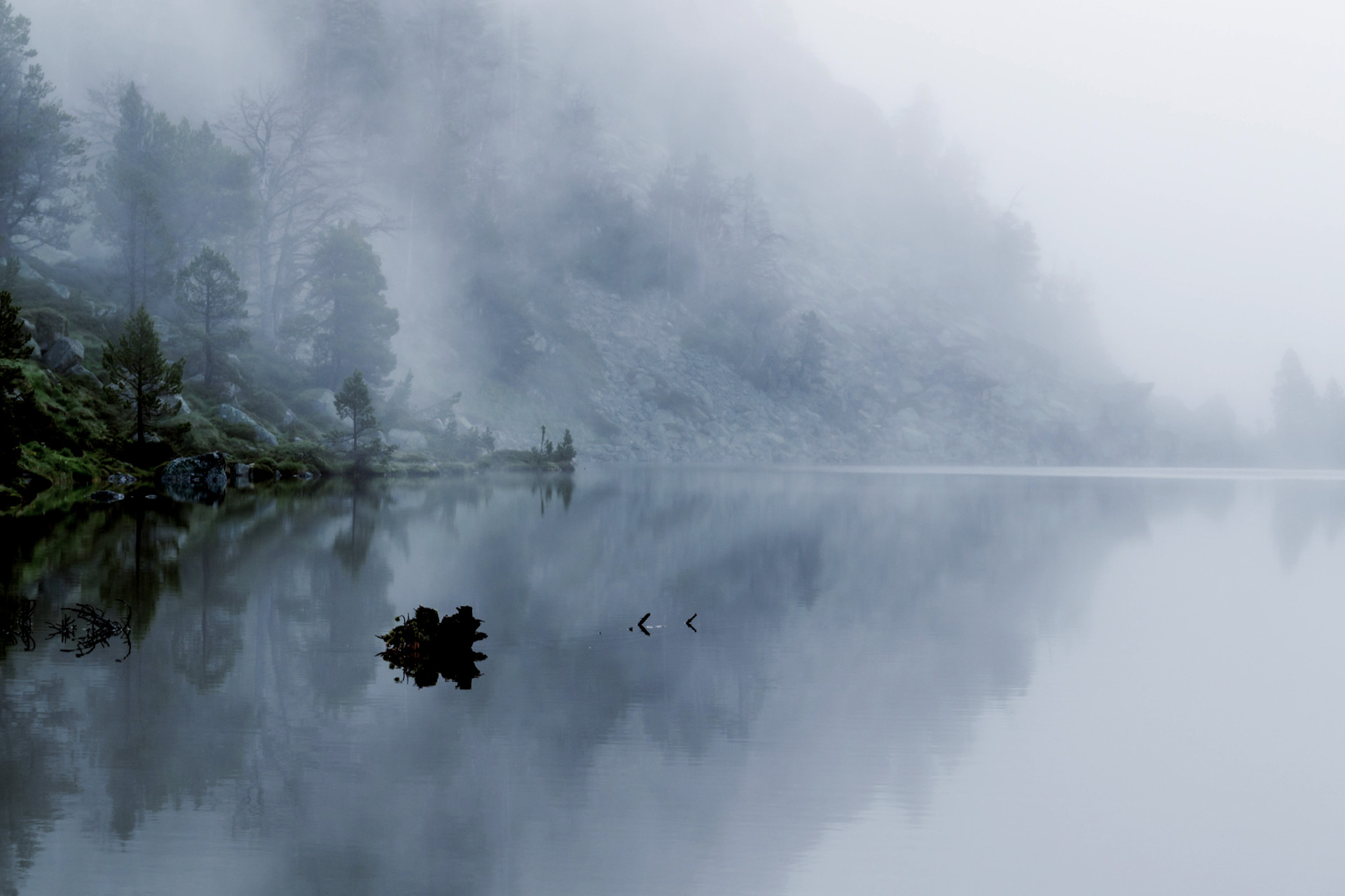 Elena Taylor: Author Sheriff Bet Rivers Mystery